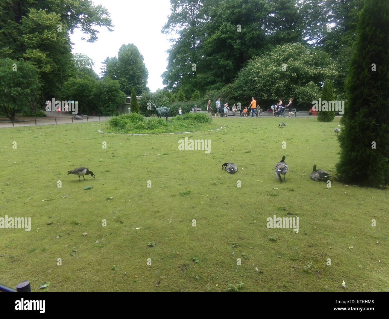 Barnacle geese and the Pukki statue are featured on Korkeasaari Island ...