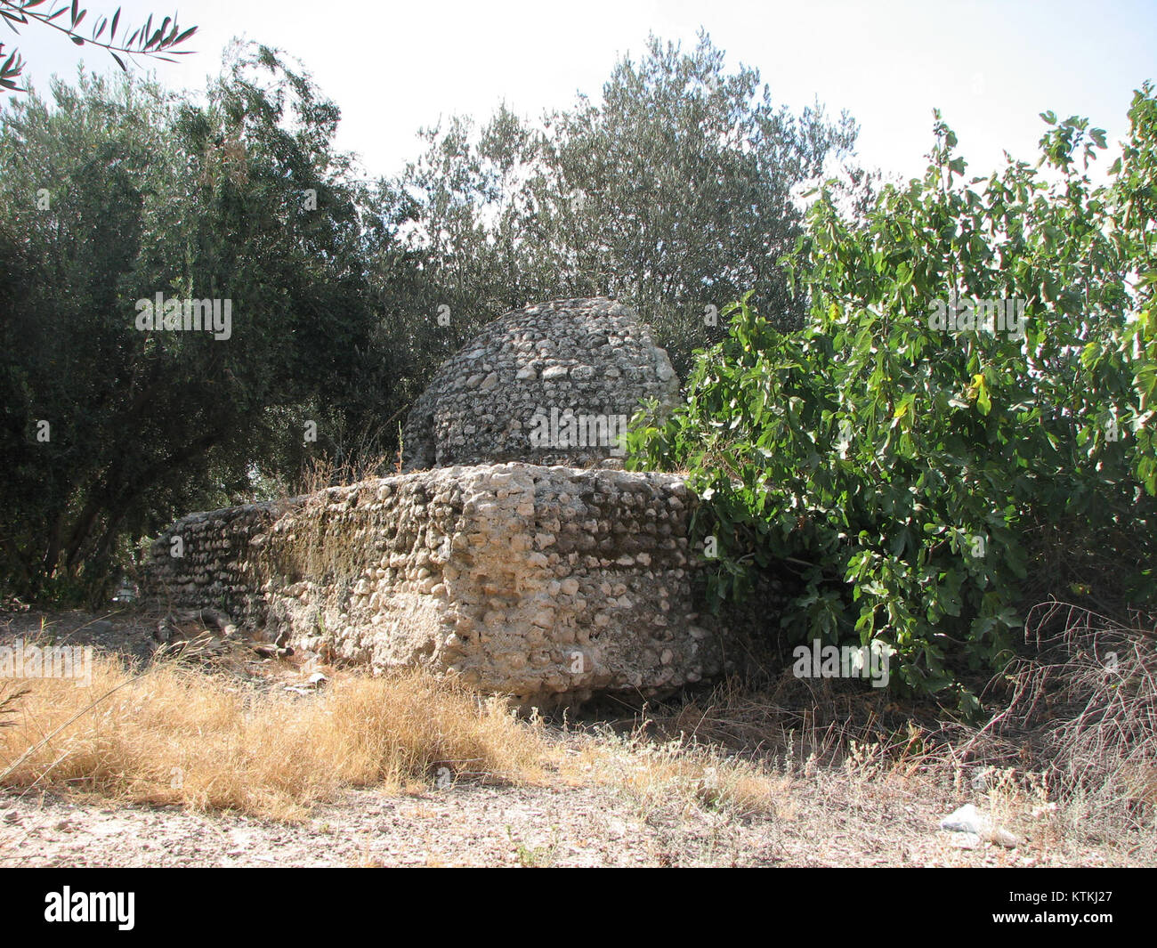 Bayt Daras is an archaeological site located in Israel, known for its ...