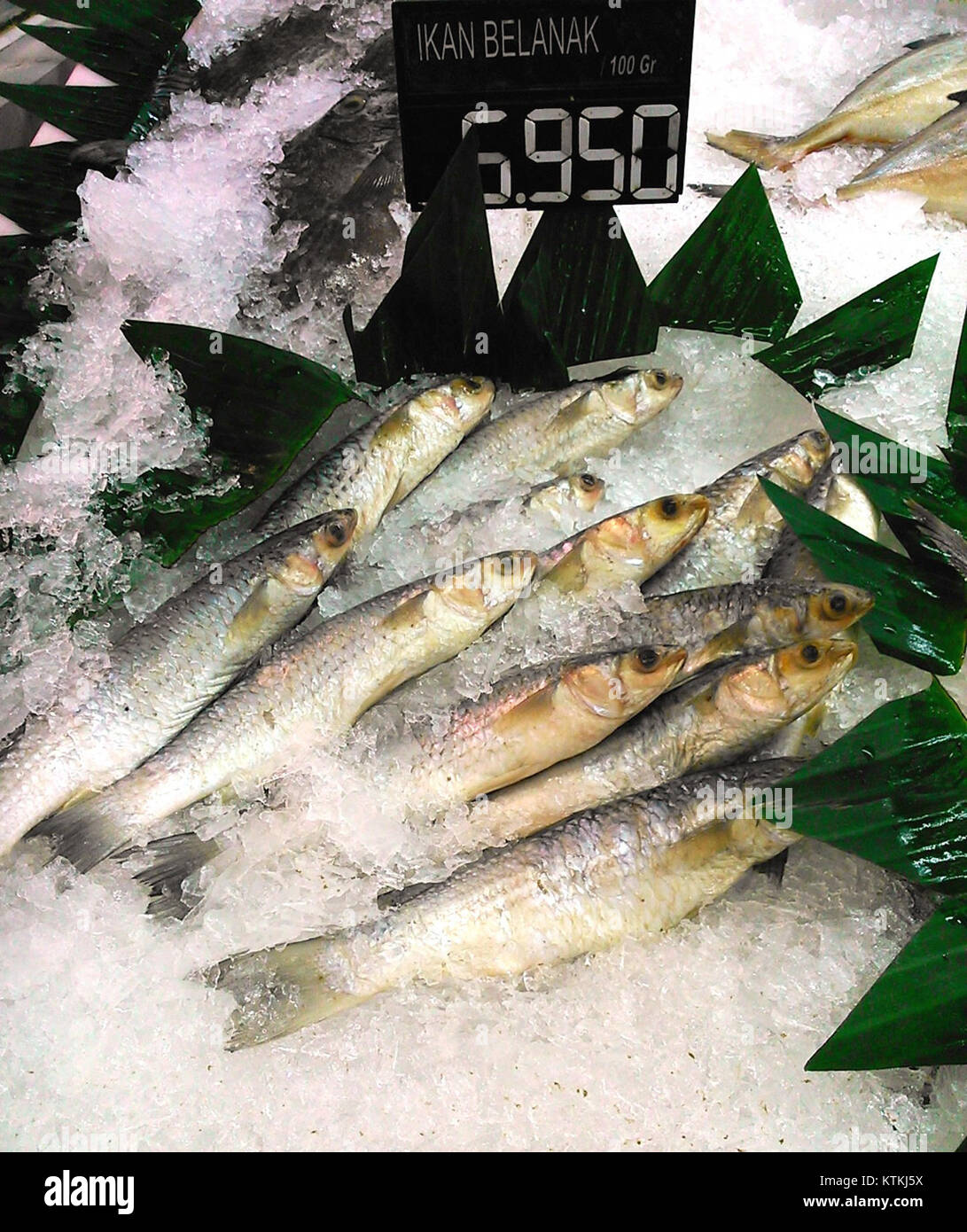 This image depicts a scene related to the sale of Belanak fish ...