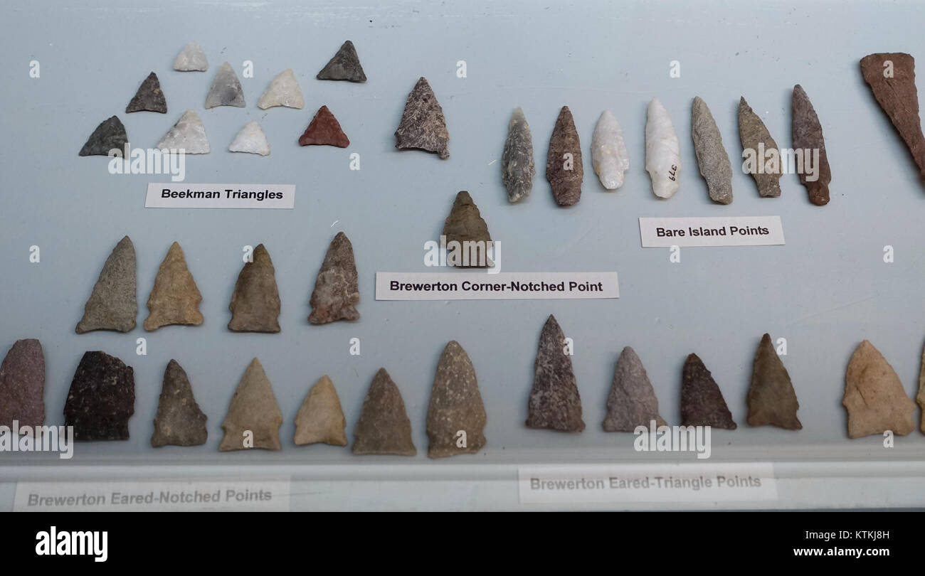 The Beekman triangles, Bare Island points, and Brewerton points are ...
