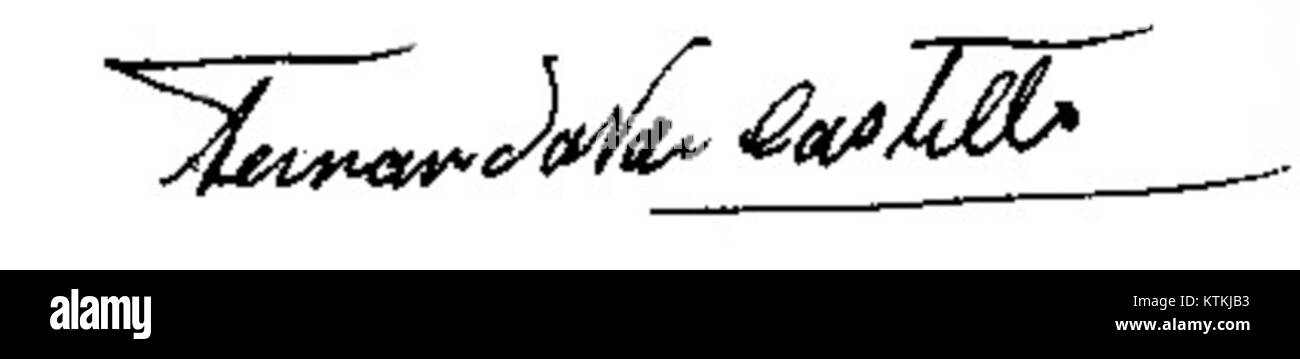 Firma Fernando Paz Castillo refers to a company or entity related to ...