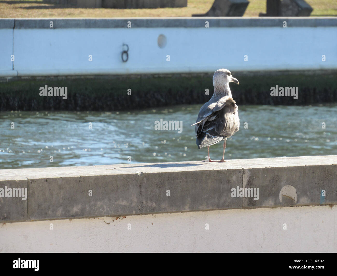 Aveiro riverfront hi-res stock photography and images - Alamy