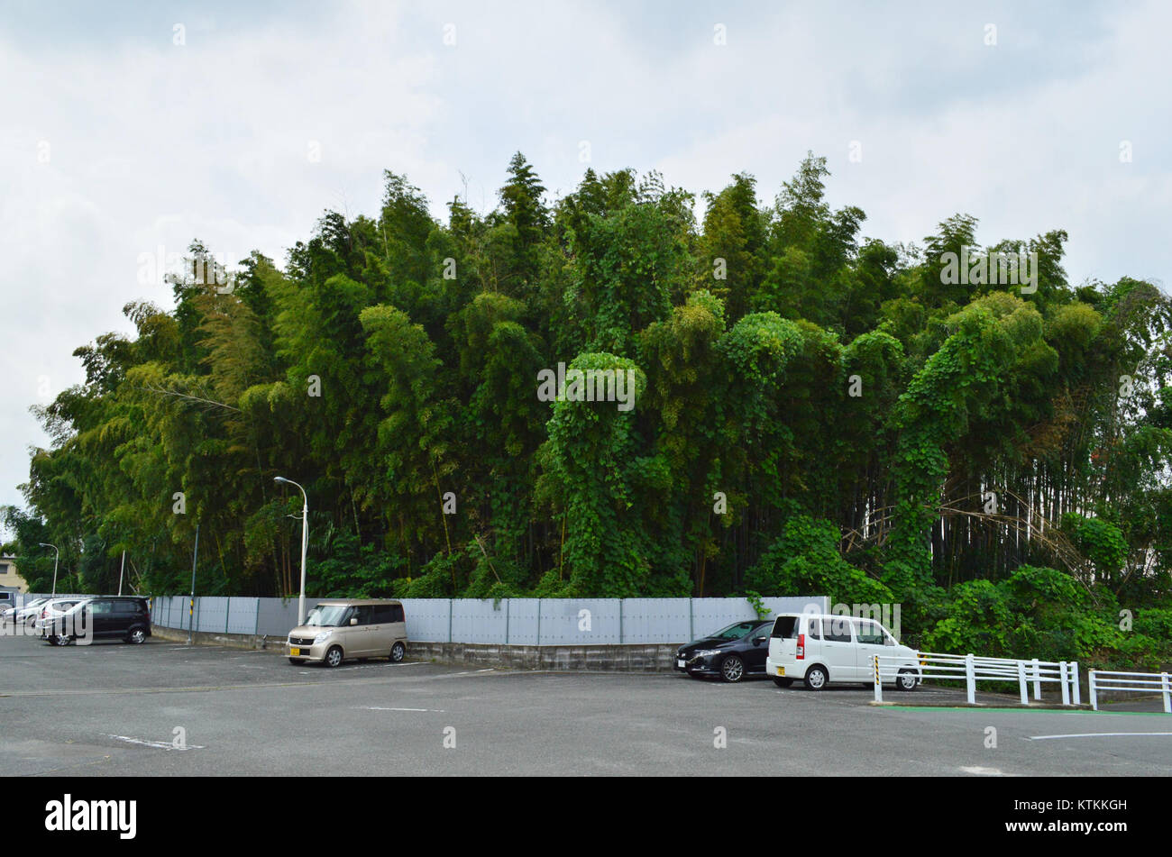 Japan key tomb hi-res stock photography and images - Alamy
