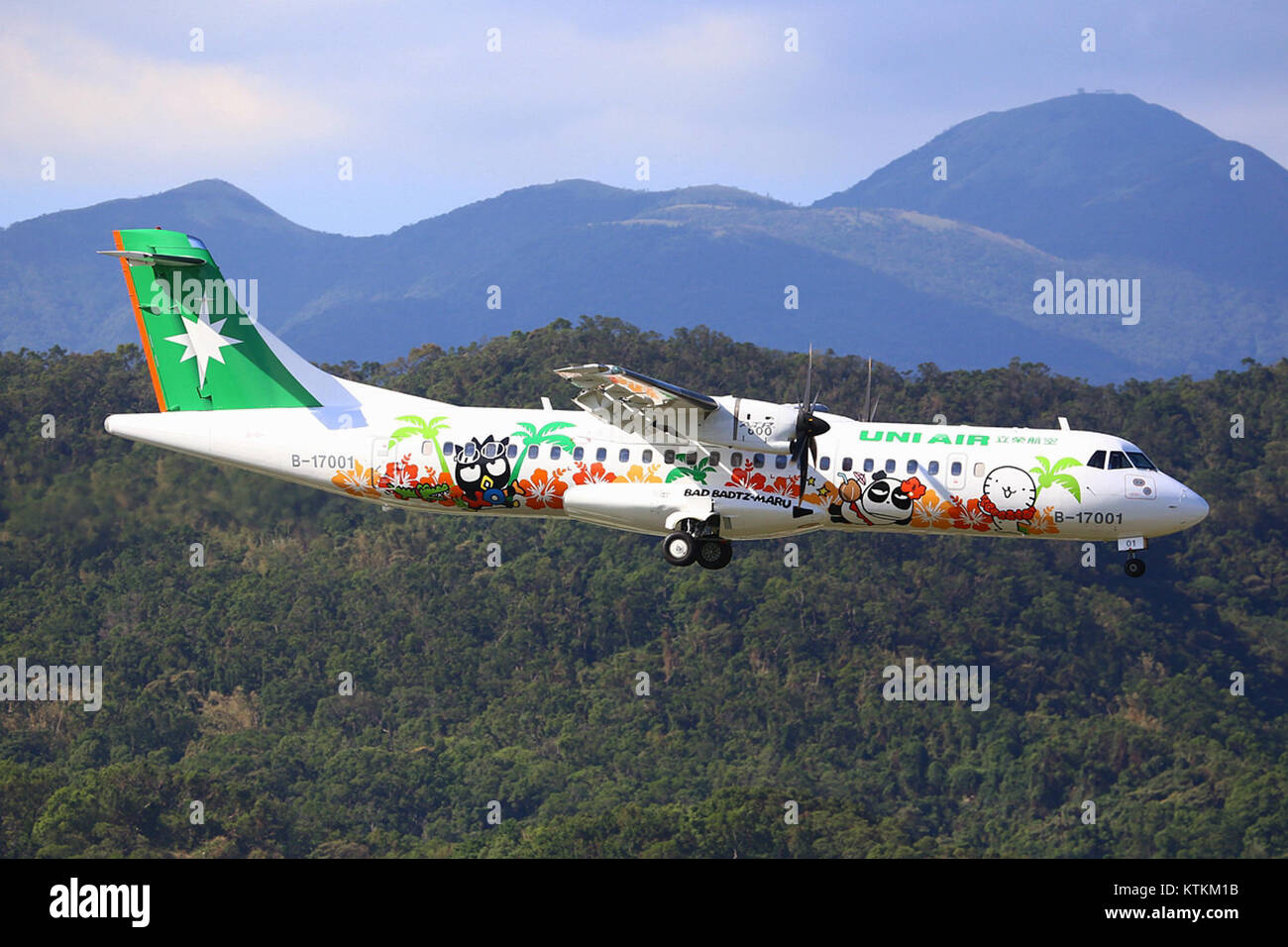 This image, labeled B 17001, features a subject related to a specific ...