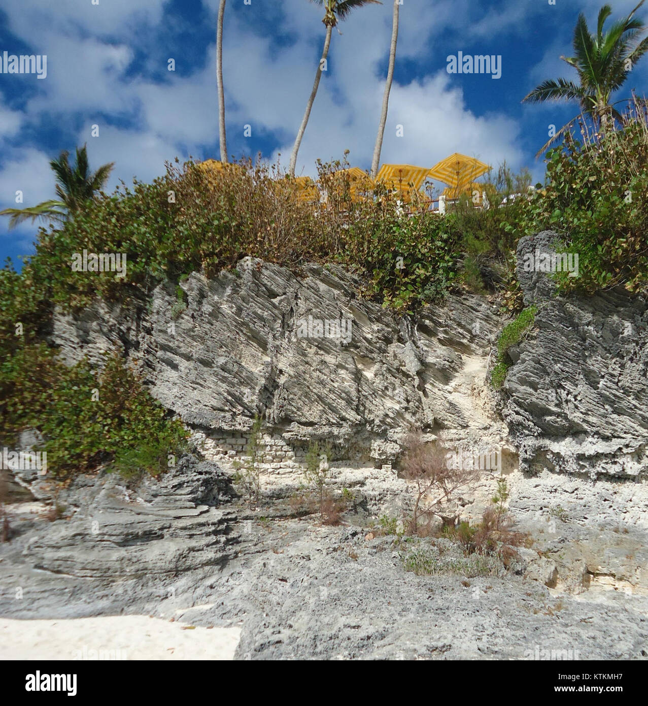 Bermuda nature reserves hi-res stock photography and images - Alamy