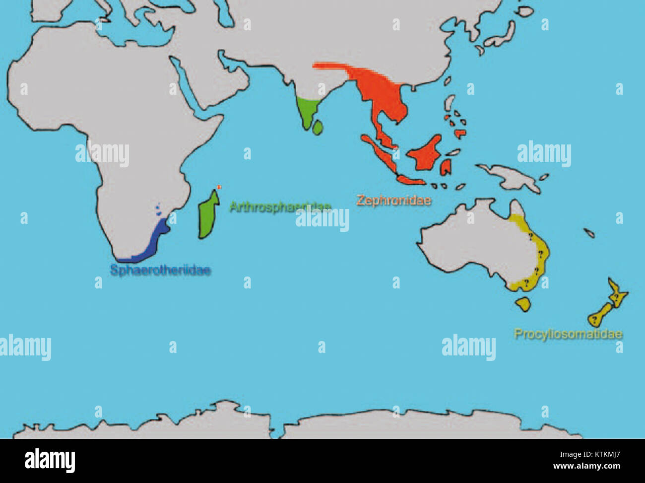 Pill millipede species hi-res stock photography and images - Alamy