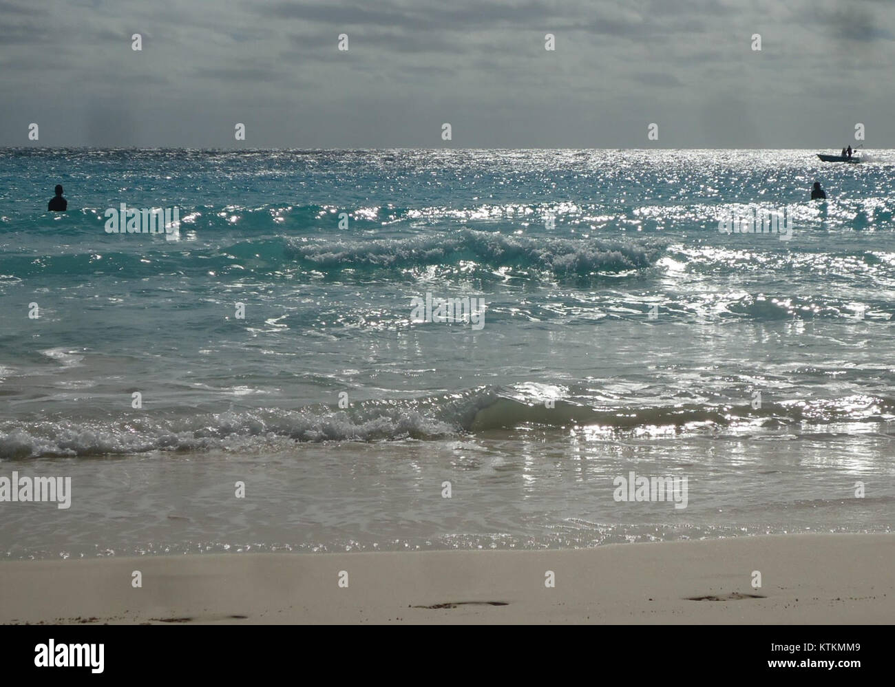 This image captures fish predation beneath the surface at Horseshoe Bay ...