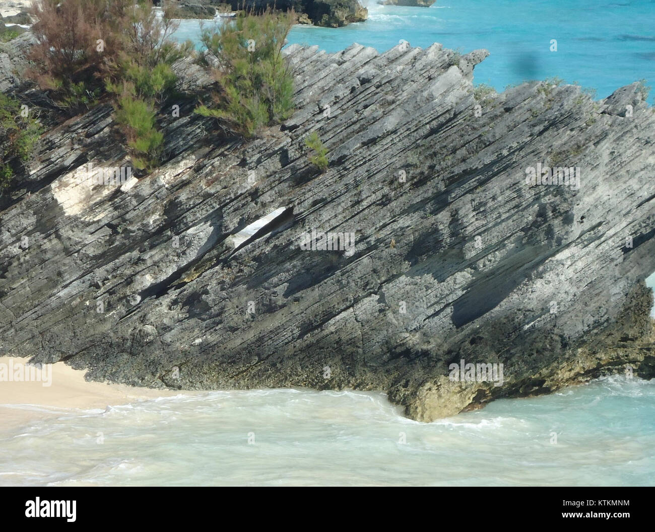 This image depicts limestone formations near the ocean in Bermuda ...