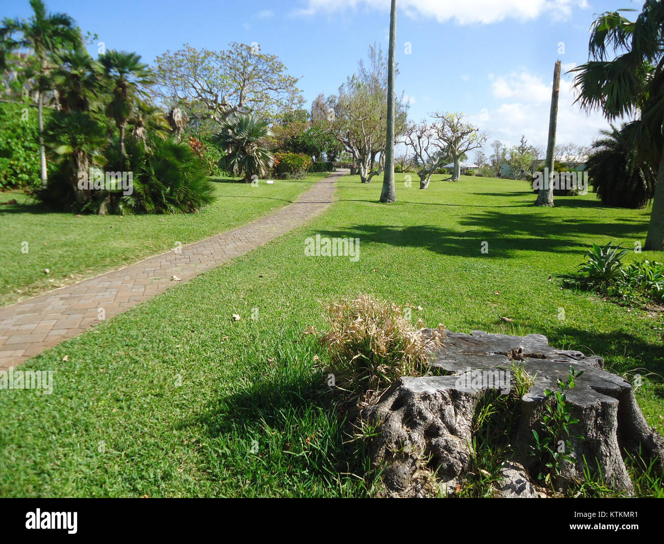 This image shows a pathway in Bermudaâ€™s Botanical Gardens, showcasing ...