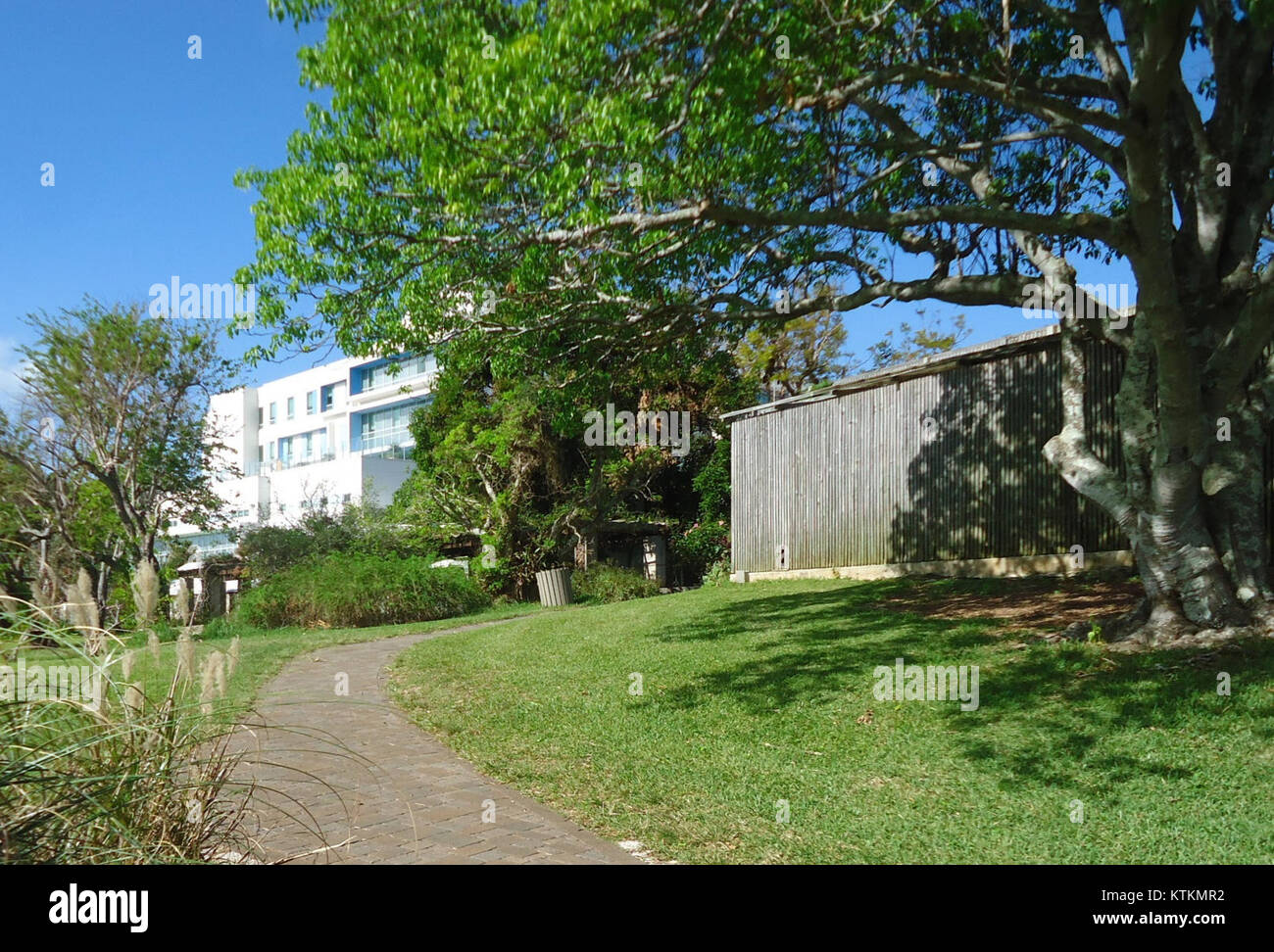This image captures the lush foliage of Bermuda, showcasing the ...