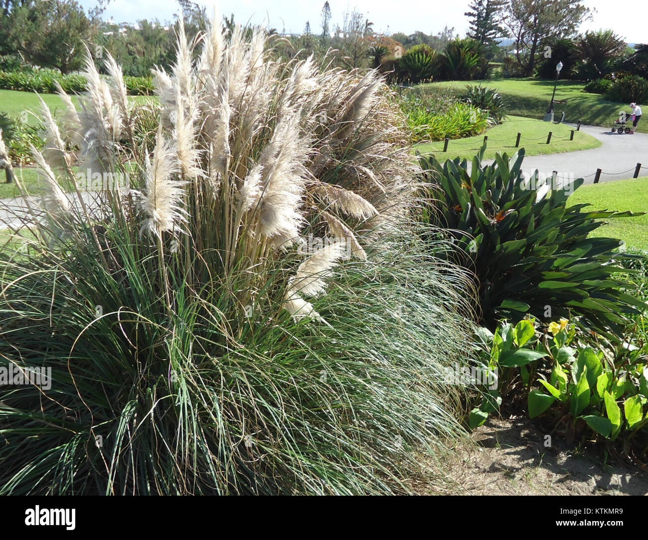 Bermuda is a British overseas territory known for its subtropical ...