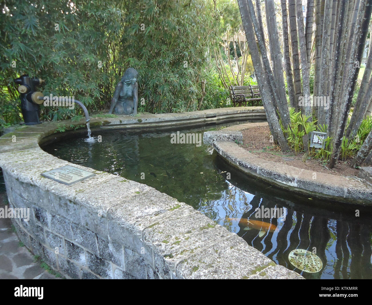 This image captures a scenic pond park in Hamilton, Bermuda, showcasing ...