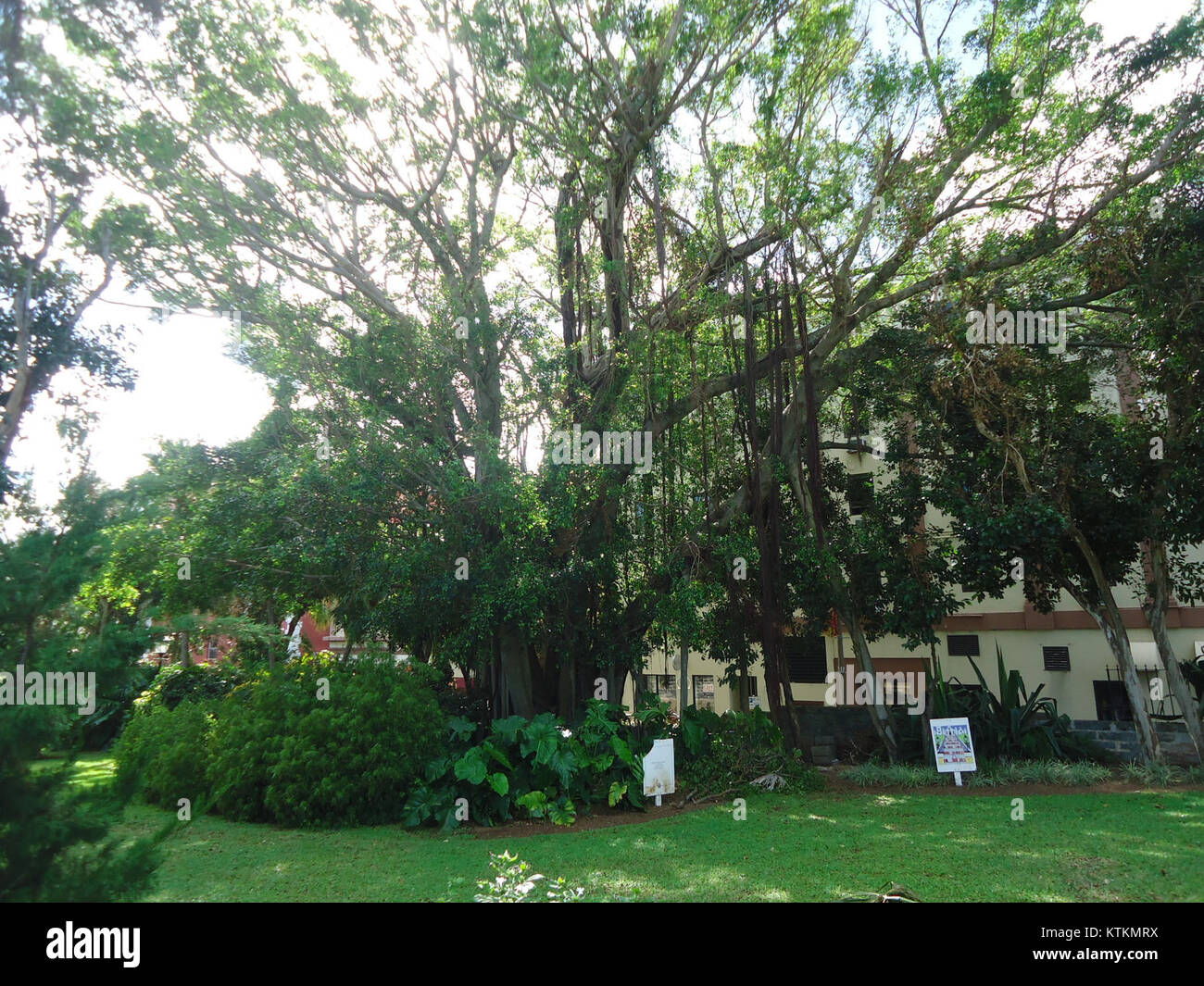 This image showcases the scenic beauty of Bermuda, a British Overseas ...