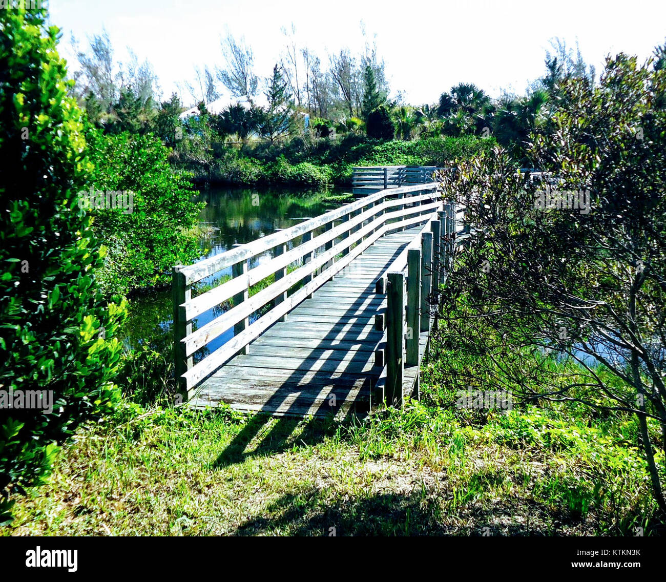 The Coopers Island Nature Preserve in Bermuda is a protected area known ...