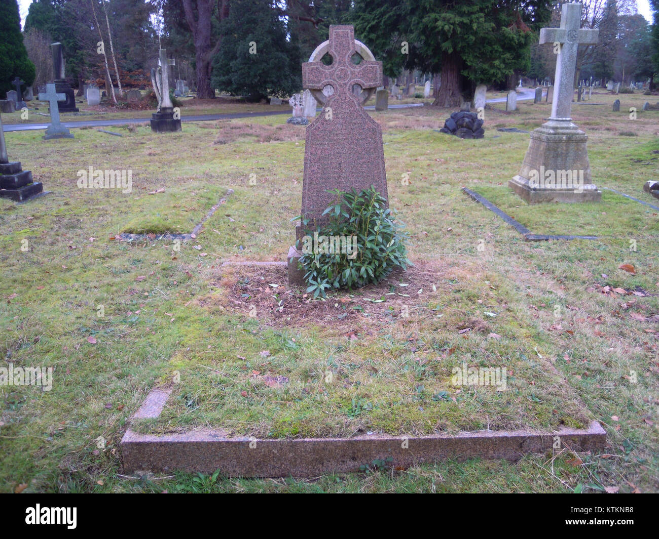 Thomas brandreth hi-res stock photography and images - Alamy