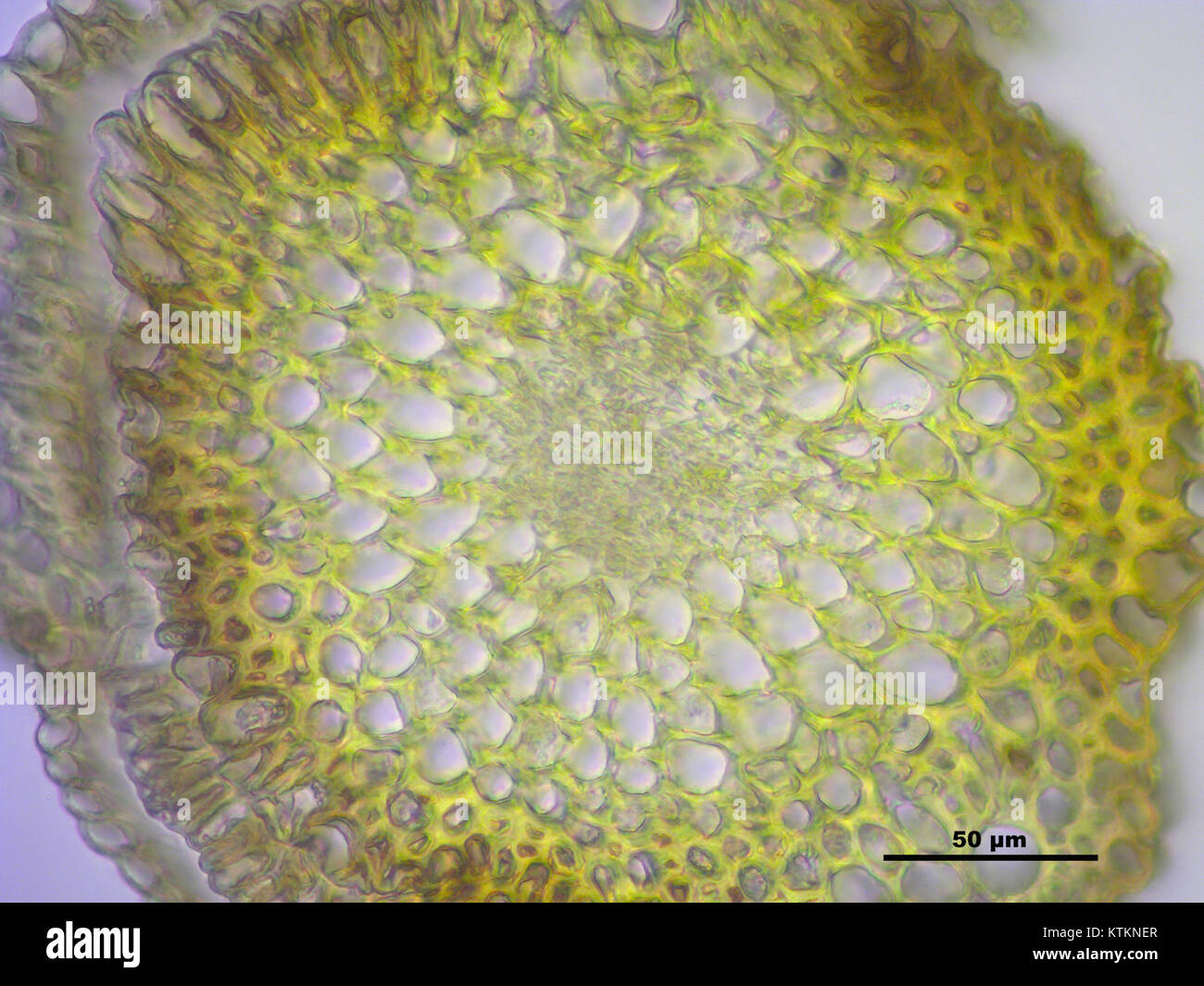 3745 hi-res stock photography and images - Alamy
