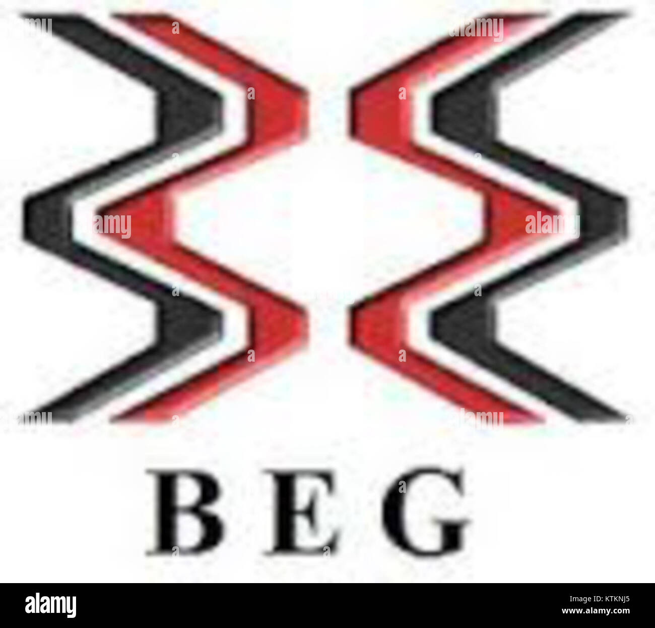 An abbreviation for BEG, potentially referring to a specific ...