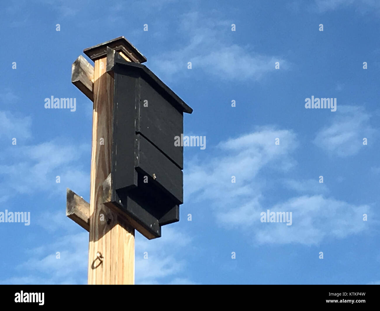 A bat house is a structure designed to provide shelter for bats ...