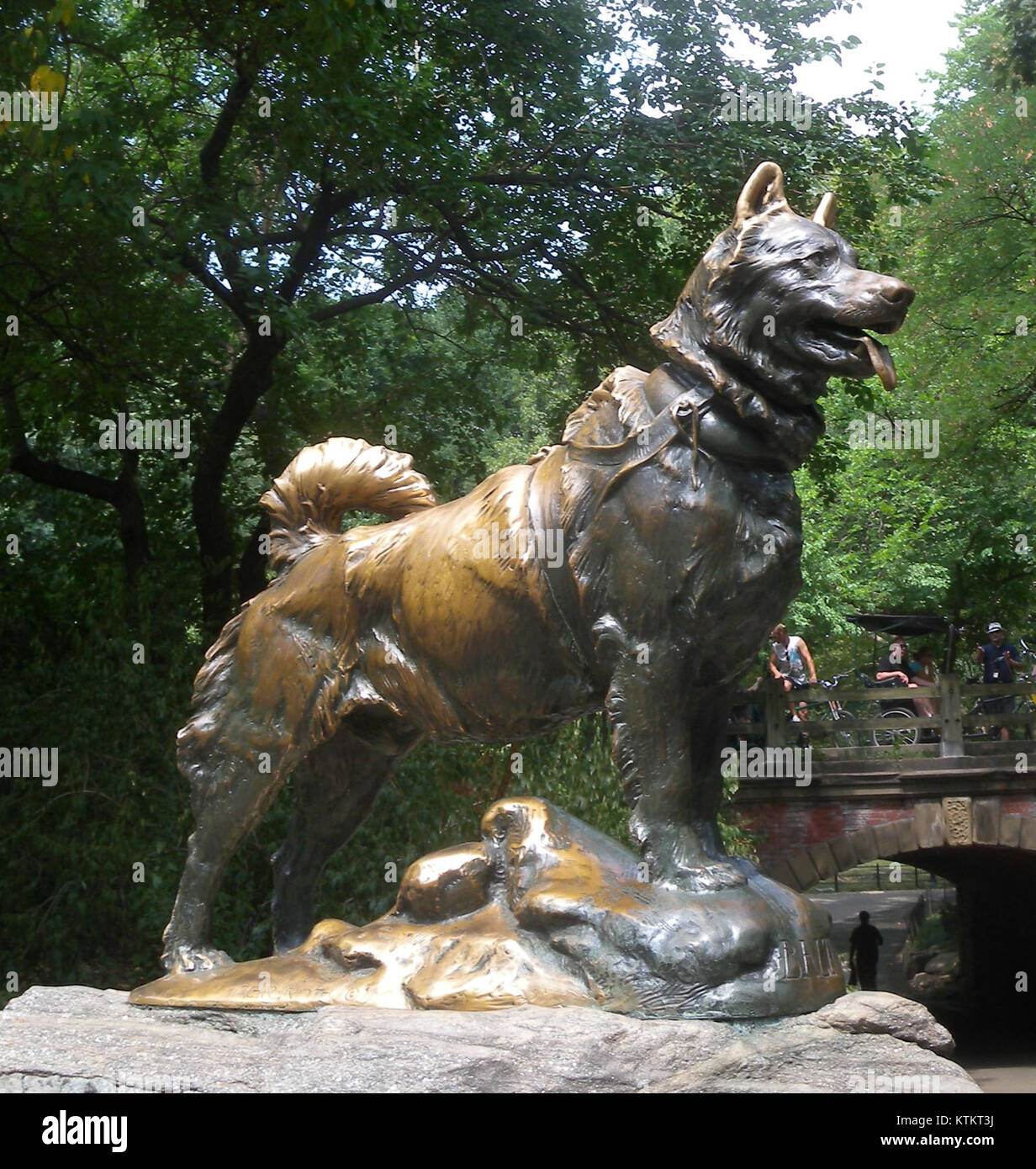 Balto alaska hi-res stock photography and images - Alamy