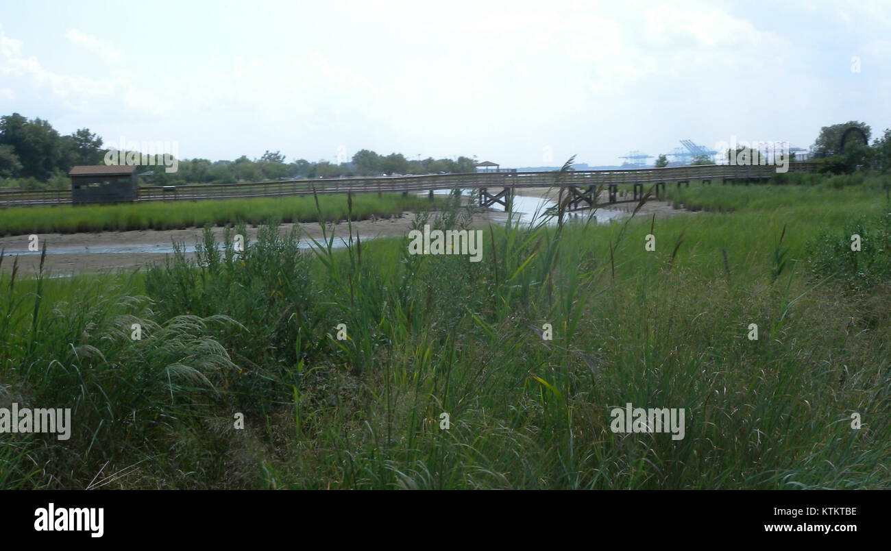The Bayonne Wetland Park bridge is a key structure in the park ...