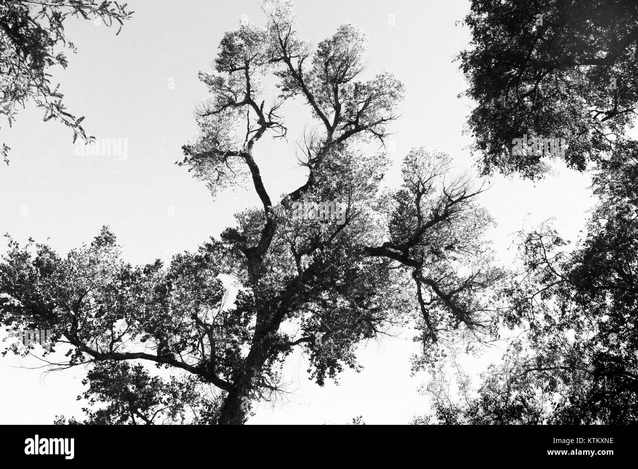 West lake features Black and White Stock Photos & Images - Alamy