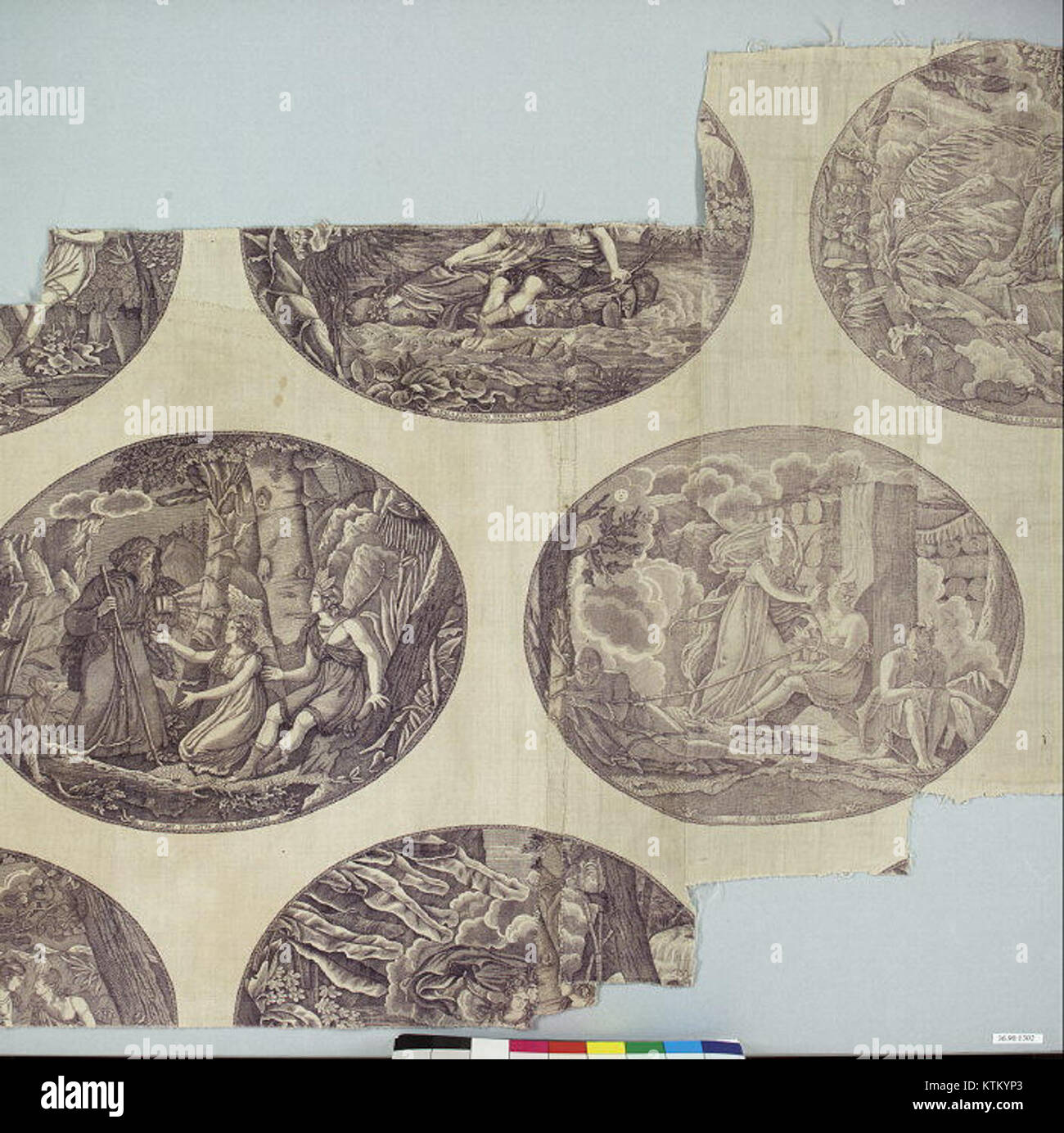 Atala painting hi-res stock photography and images - Alamy