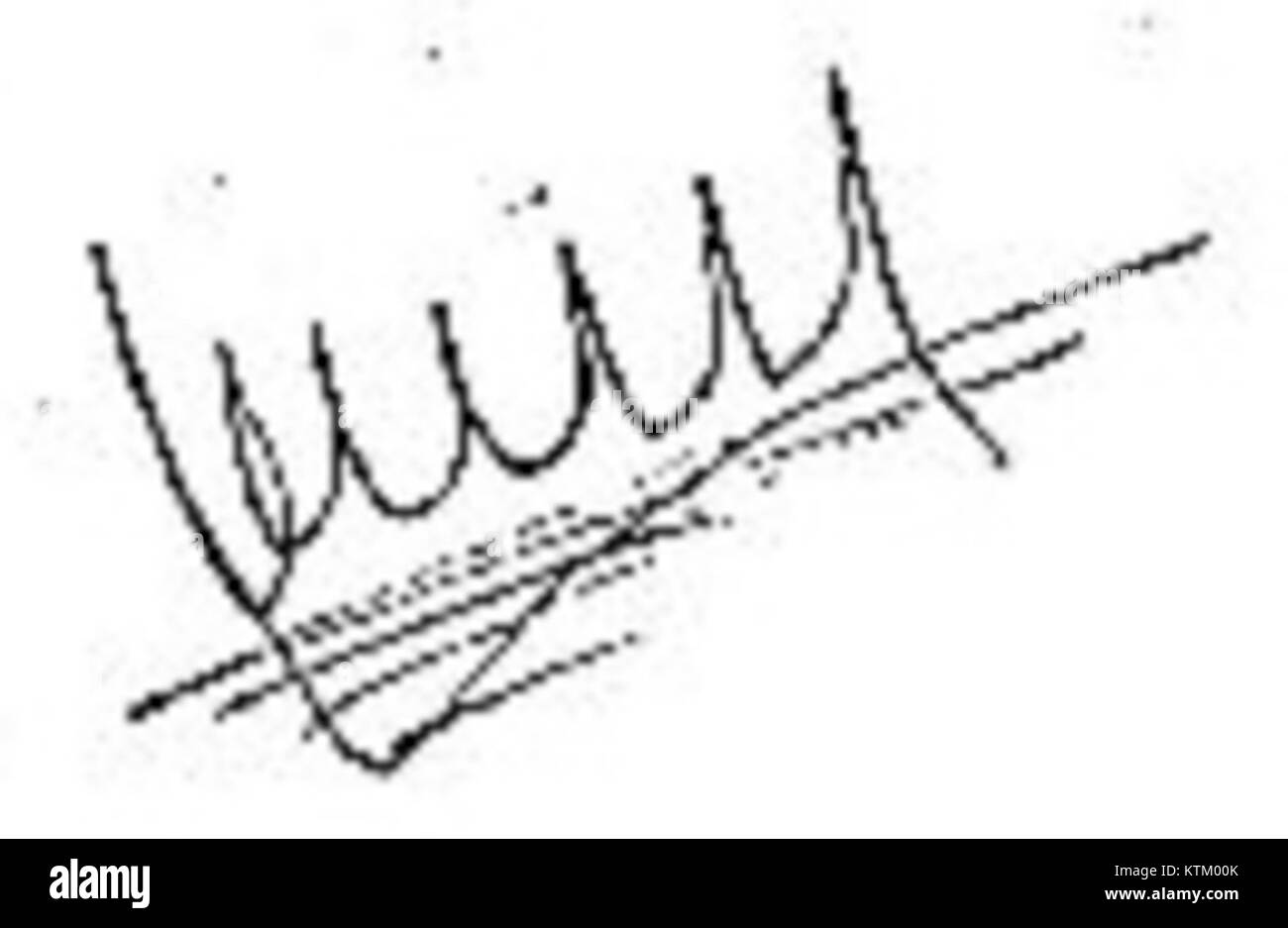 Firma Carlos Menem refers to the personal or business signature of ...