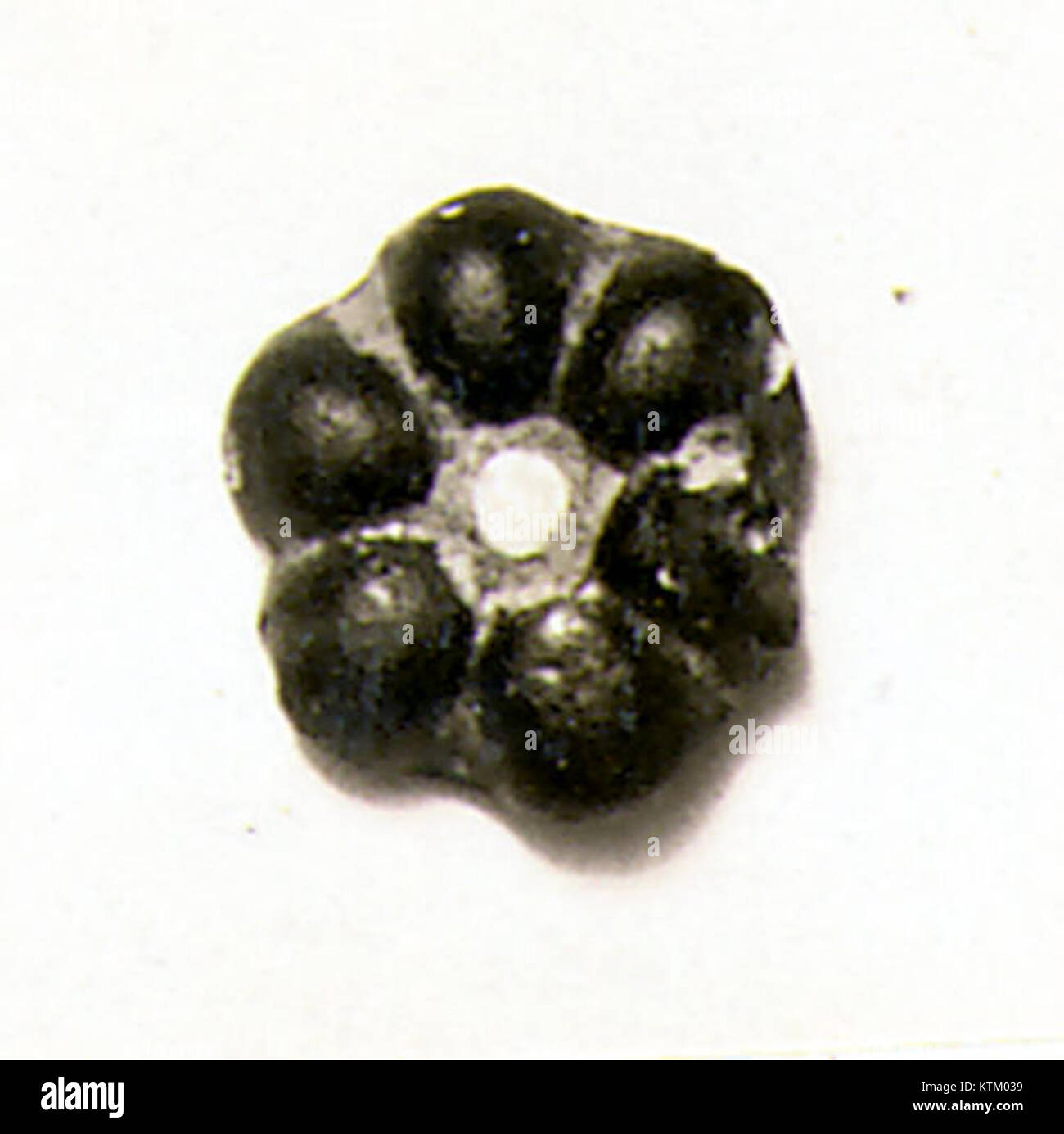 Radiating form Cut Out Stock Images & Pictures - Alamy