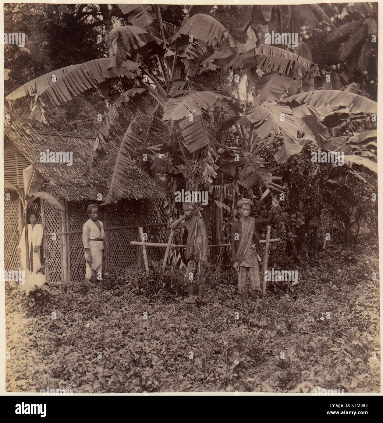 'Batavia' is a historical painting from the collection of the ...