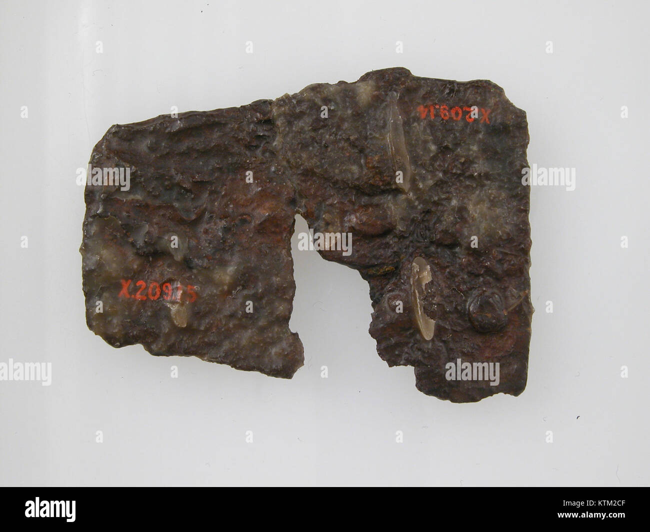 A fragment of a belt plate, identified as MET x209 14 15s2, part of an ...
