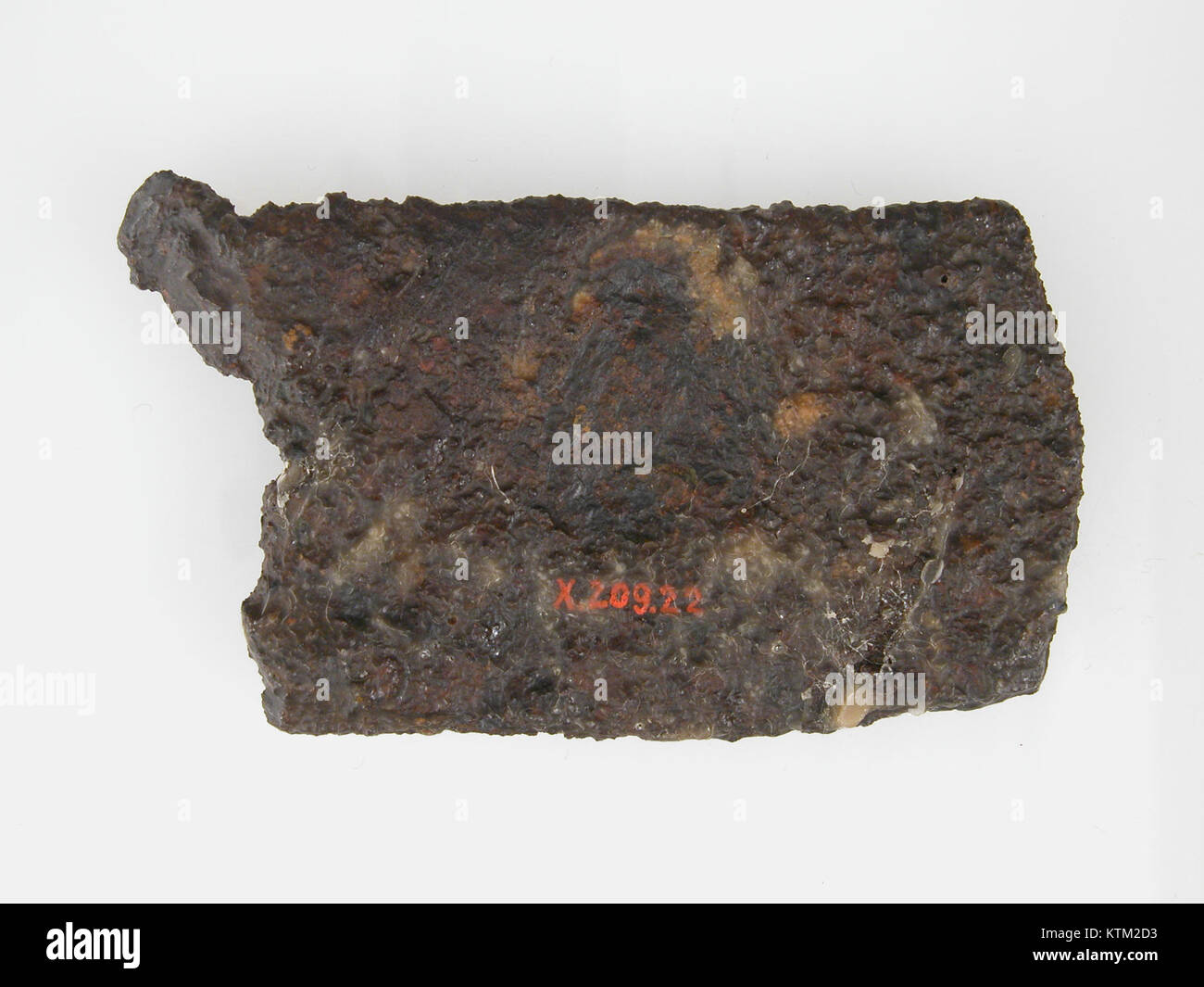 The Belt Plate, housed in the Metropolitan Museum of Art, is a ...