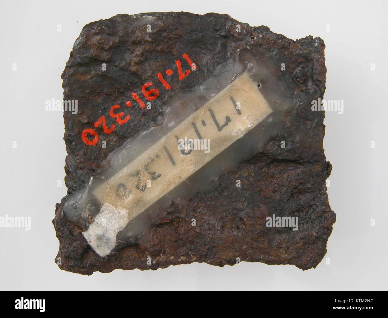 The backplate of a belt buckle from the MET (Metropolitan Museum of Art ...