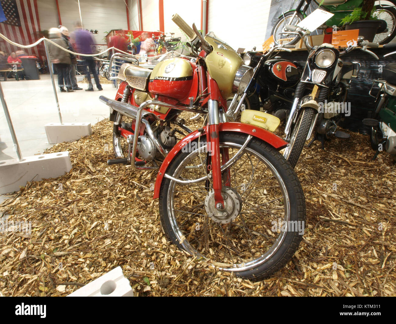 Details on 'Batavus Whippet p1' are limited. More information is needed ...