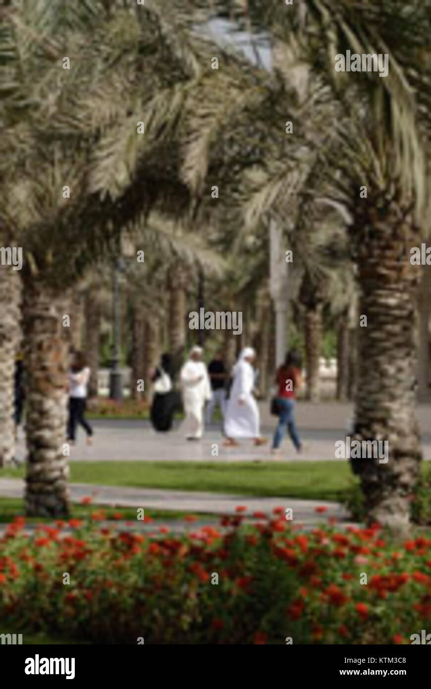 The AUS campus in the title likely refers to a specific university ...