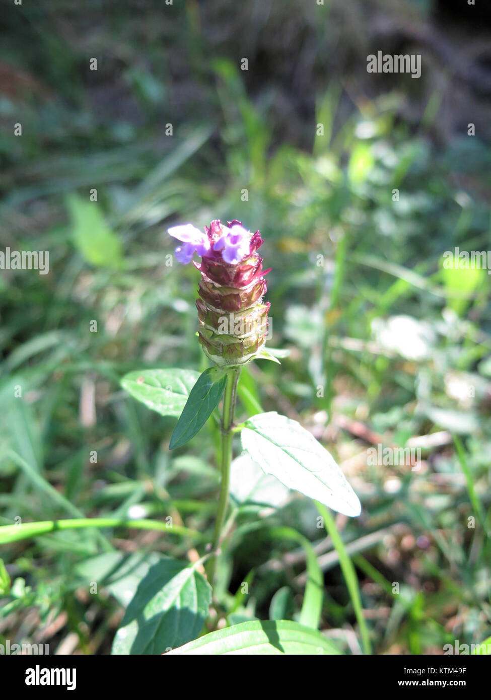 BeispielbildFotoworkshop01 is a sample image used in photography ...