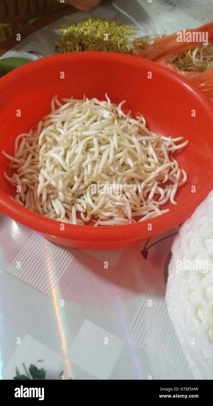 Bean sprouts are young shoots of various beans, commonly used in ...