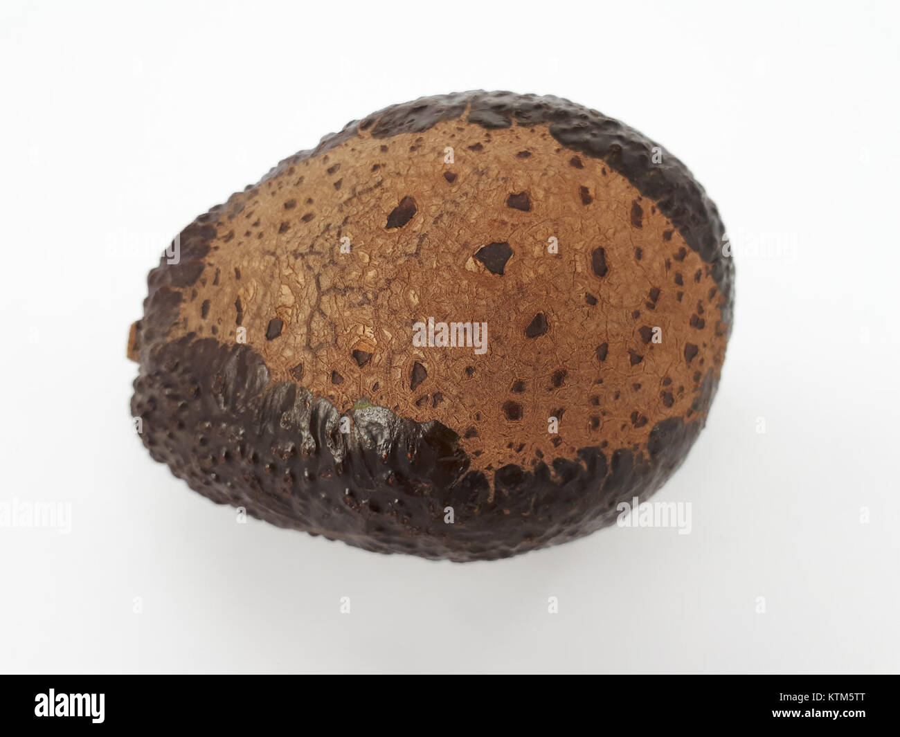 Avocado scab, as observed in 2017, is a plant disease that affects ...