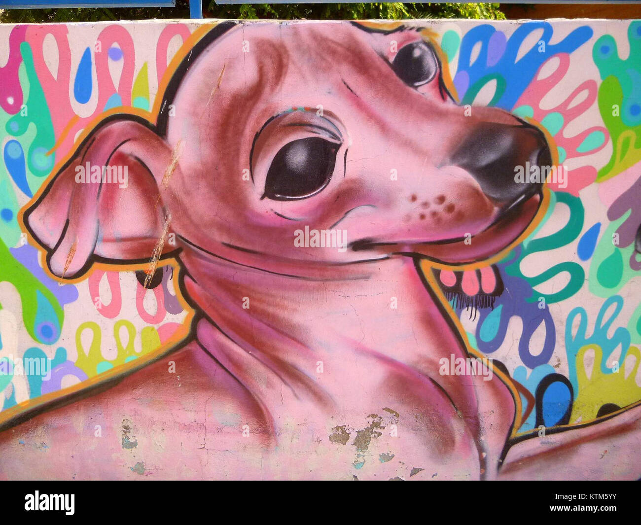 This image captures a piece of graffiti art from Benidorm, Spain. Known ...
