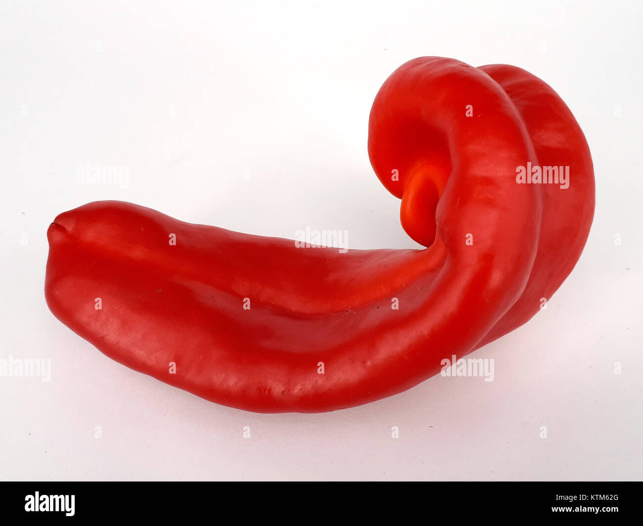 This image shows a bent red capsicum, photographed in 2017. The pepper ...