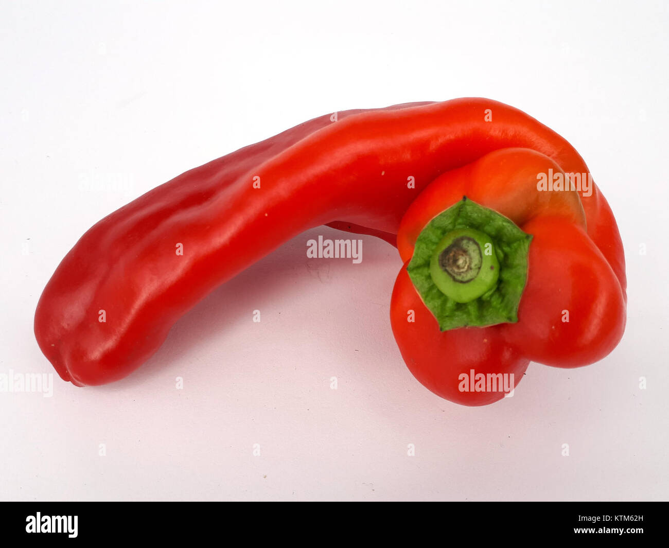 The bent red capsicum, a variety of chili pepper, was cultivated in ...