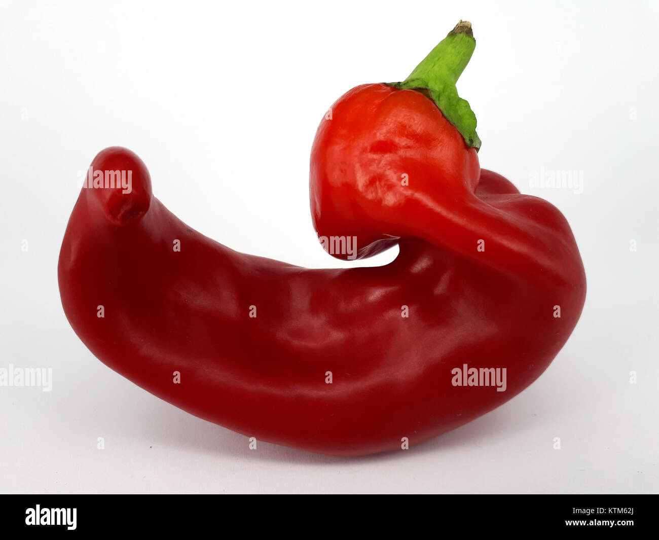 Bent red capsicum is a variety of red pepper known for its unique shape ...