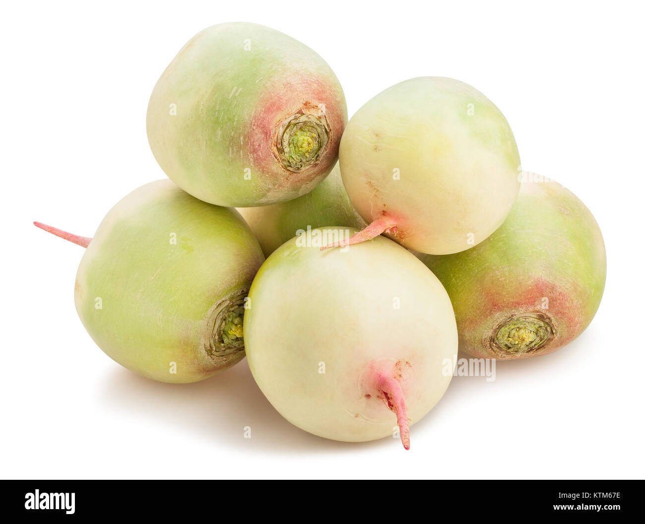 Turnip root root vegetable hi-res stock photography and images - Alamy