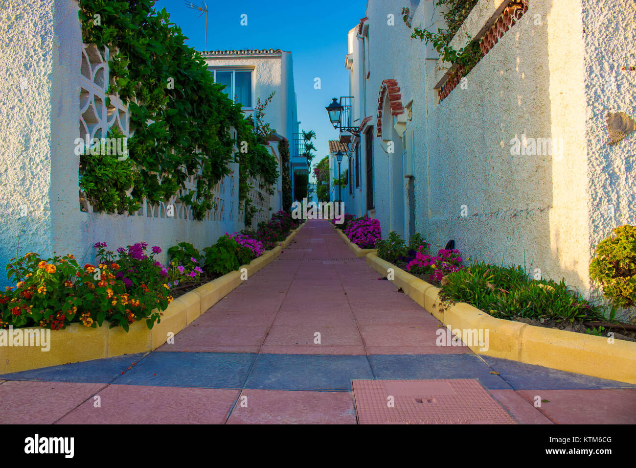 Spanish Street. Little traditional Spanish Street with plants and ...