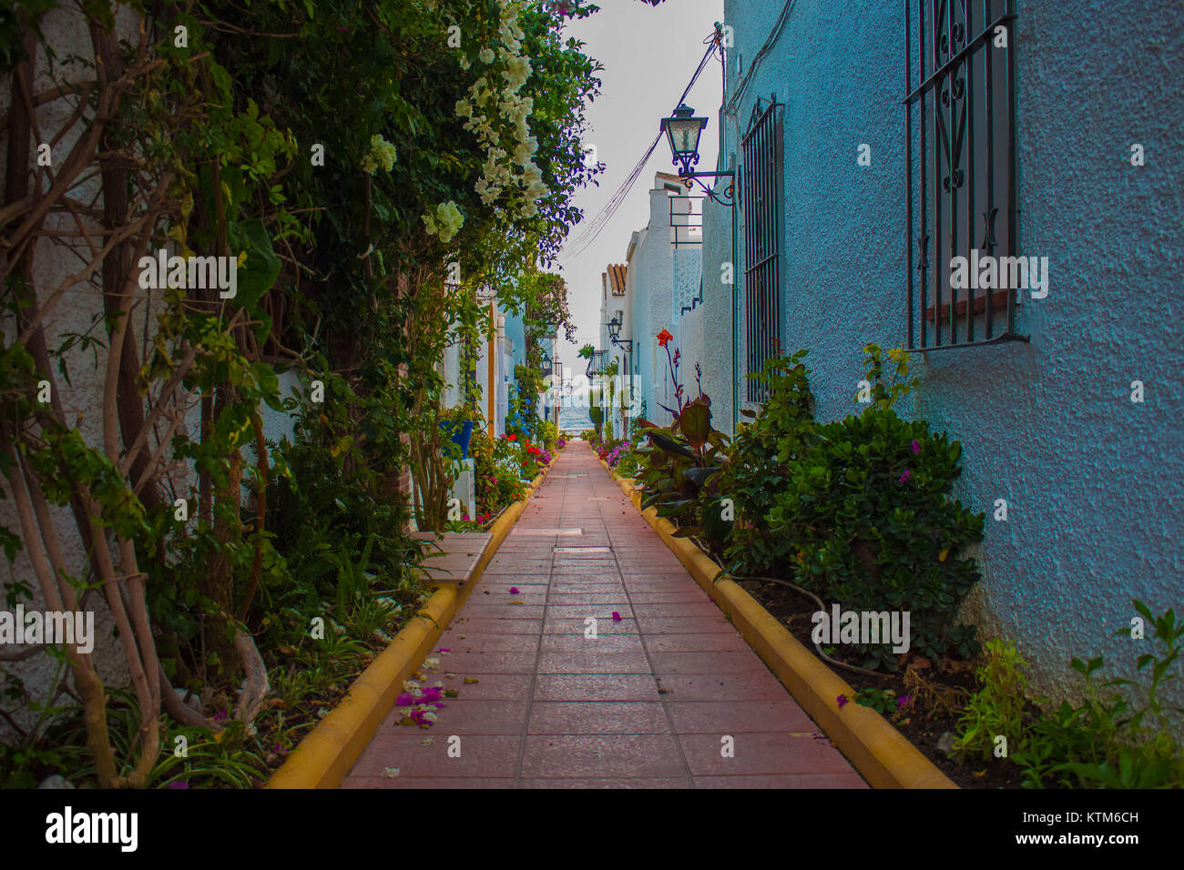 Spanish Street. Little traditional Spanish Street with plants and ...