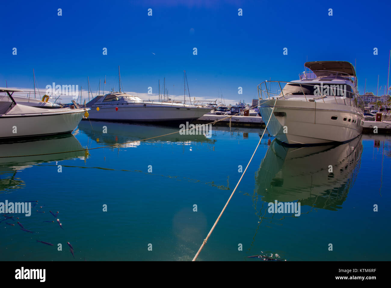 Port. Port of Puerto Banus, Marbella, Costa del Sol, Andalusia, Spain ...