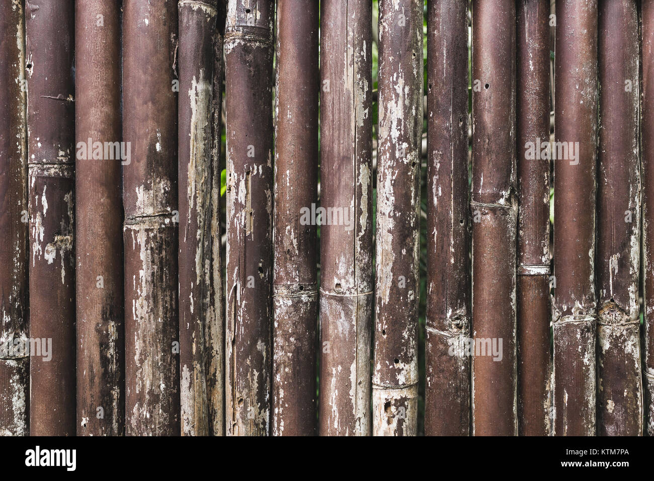 Old striped texture of bamboo wall Stock Photo - Alamy