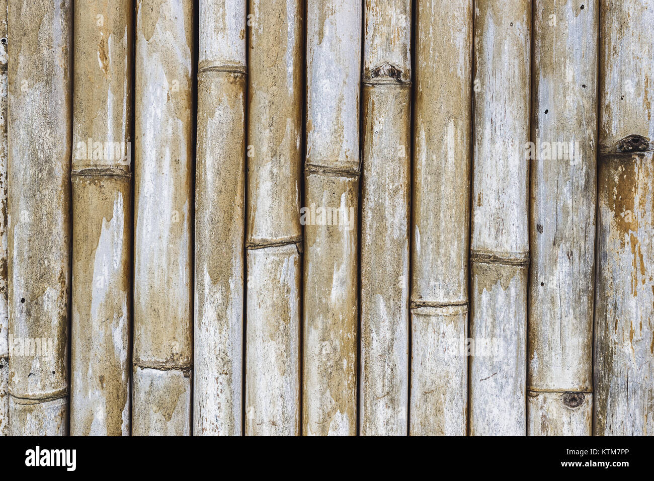 Old striped texture of bamboo wall Stock Photo - Alamy