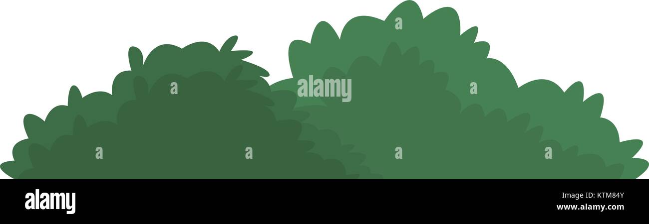 Bush isolated symbol icon vector illustration graphic design Stock ...