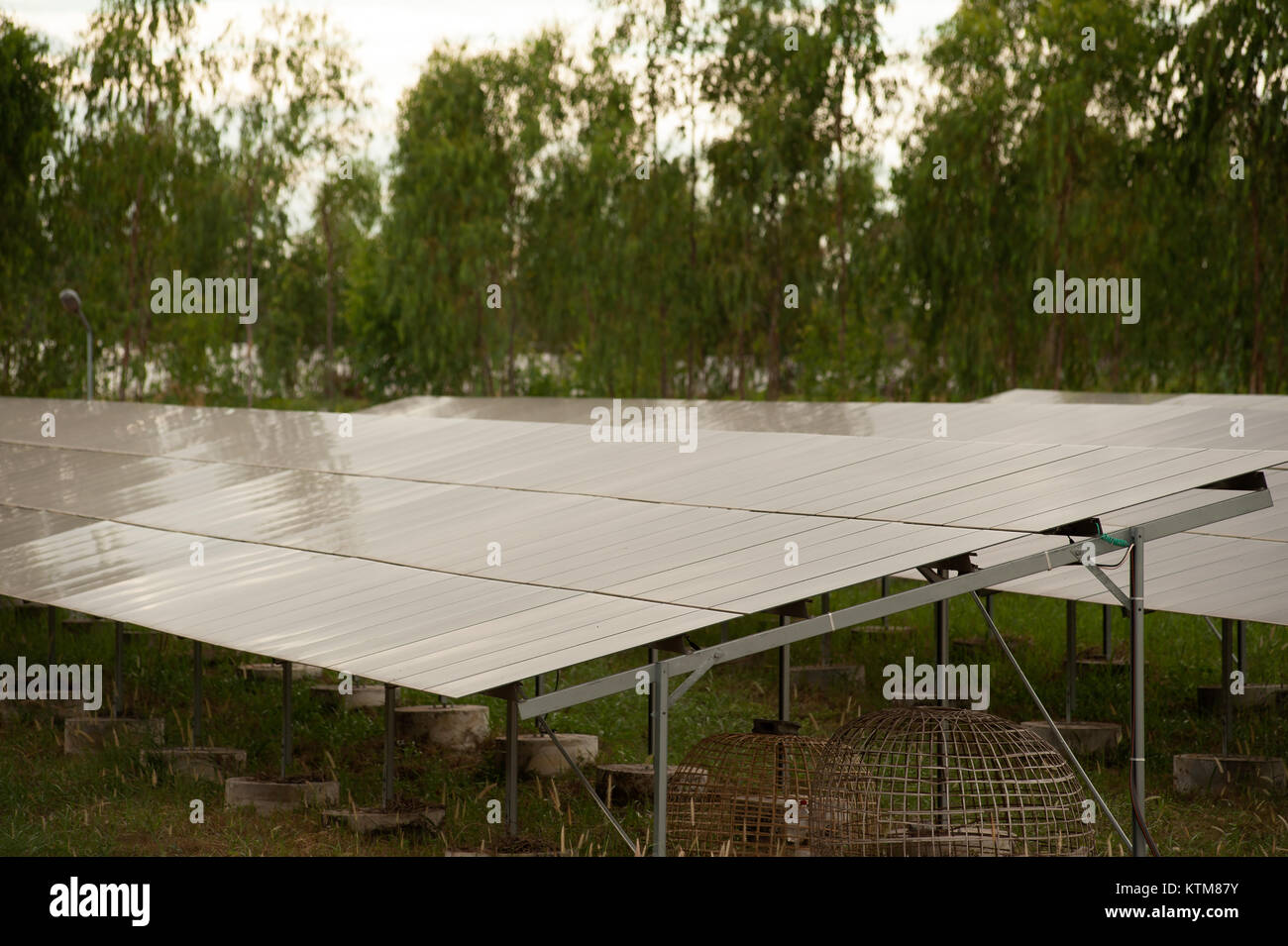 Solar panels (solar cell) in solar farm with sun lighting to create the ...