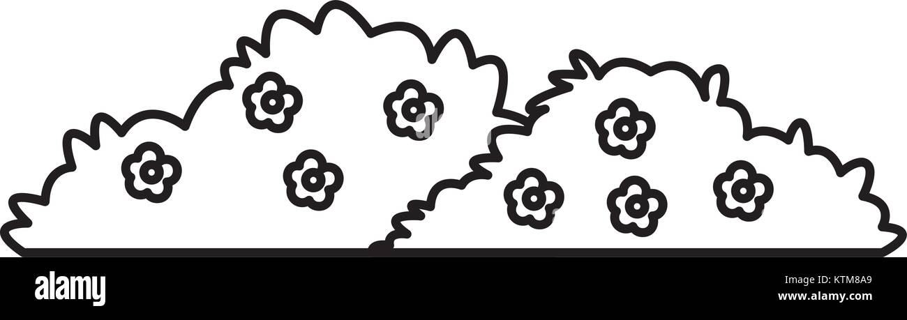 Bush isolated symbol icon vector illustration graphic design Stock ...